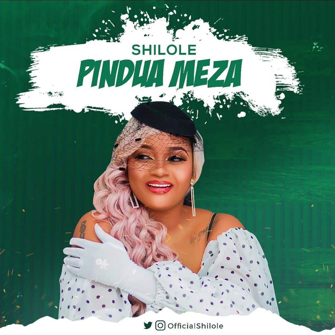 AUDIO Shilole – Pindua Meza MP3 DOWNLOAD - citiMuzik