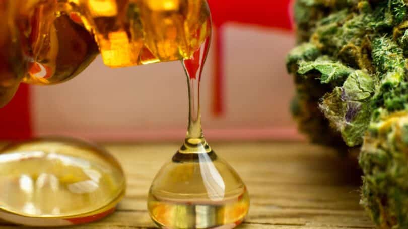 Types of Weed (Cannabis) and Strains - citiMuzik