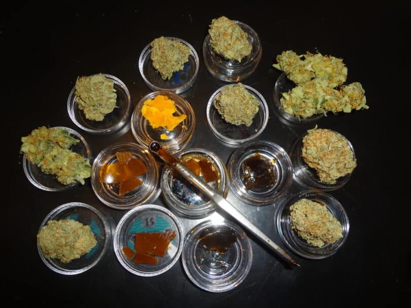 Types of Weed (Cannabis) and Strains - citiMuzik