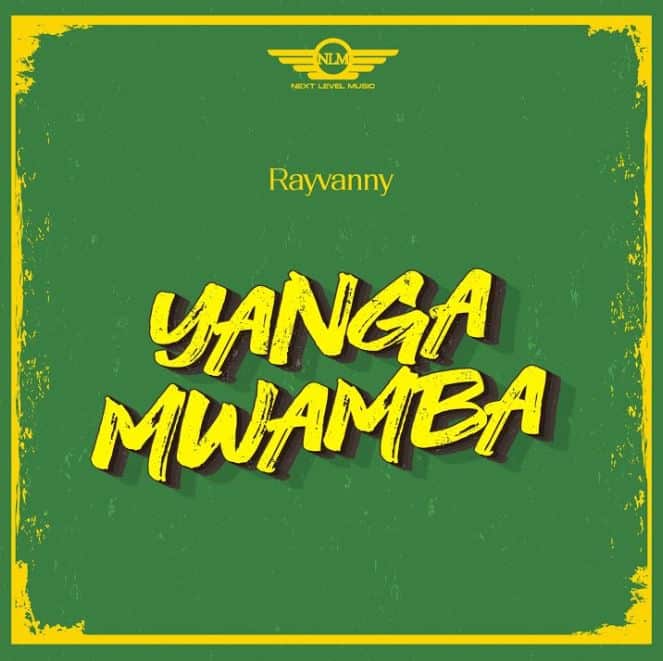AUDIO Rayvanny - Yanga Mwamba MP3 DOWNLOAD - citiMuzik