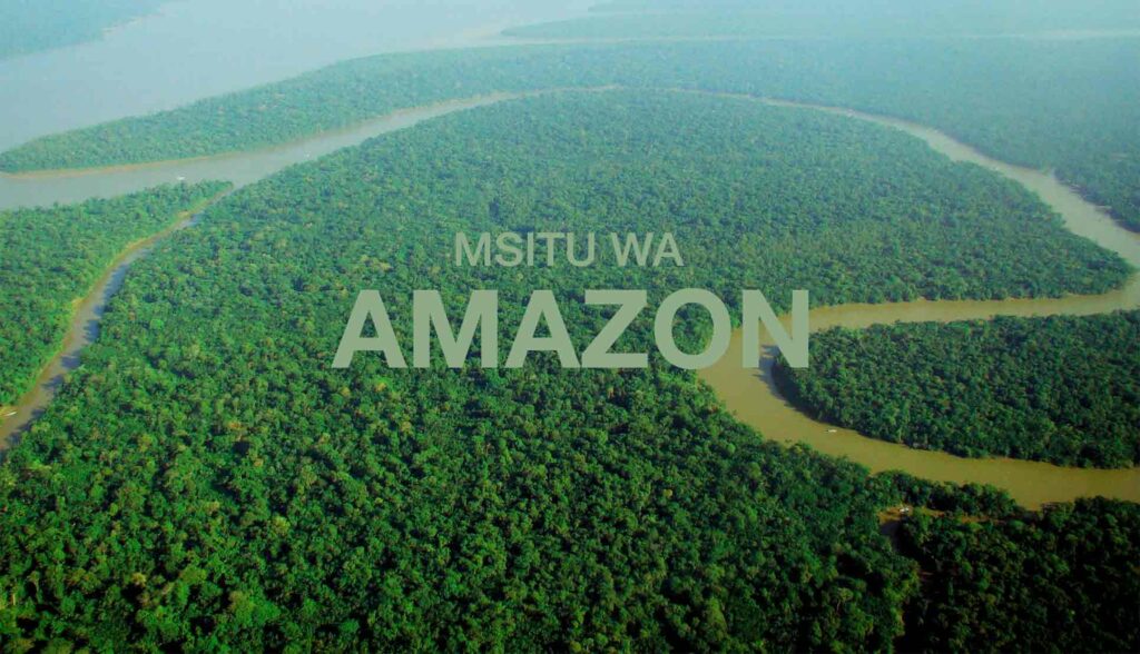 Maajabu Tisa ya Msitu wa Amazon - citiMuzik