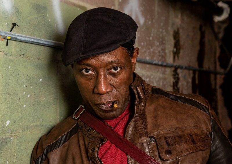 Wesley Snipes Net Worth Breakdown: A Deep Dive into His Finances ...