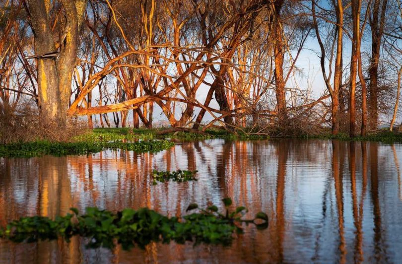 Nakuru Postal Codes and ZIP Codes for All Sub-Counties in Kenya - citiMuzik