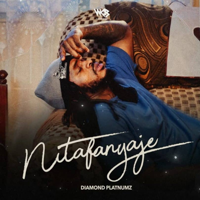 Diamond Platnumz - Nitafanyaje MP3 DOWNLOAD - citiMuzik